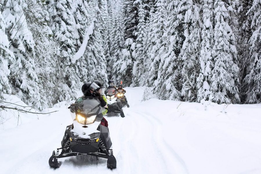 SNOWMOBILE CLASSIC TOUR - KENAI BACKCOUNTRY ADVENTURES