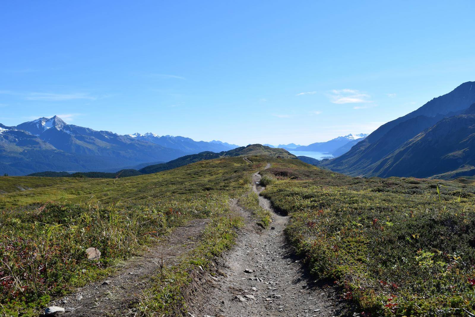 Seward Wilderness Hiking with Kenai Backcountry Adventures