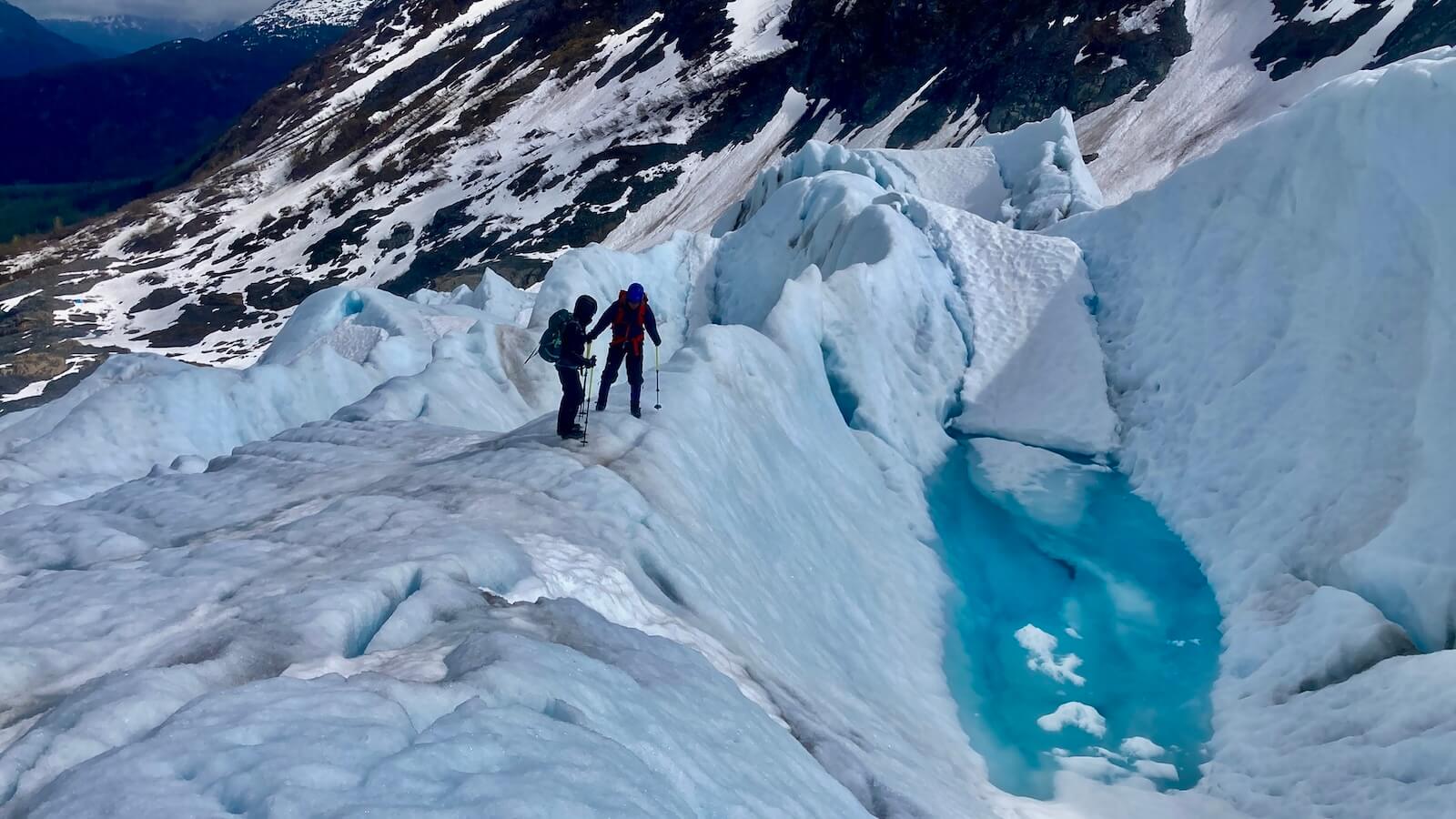 exit glacier bear attack